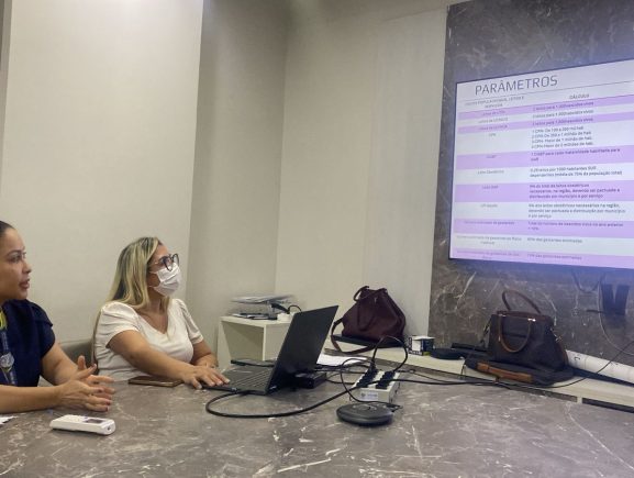 SES-AM participa webconferência sobre a implantação da Rede Alyne no ...